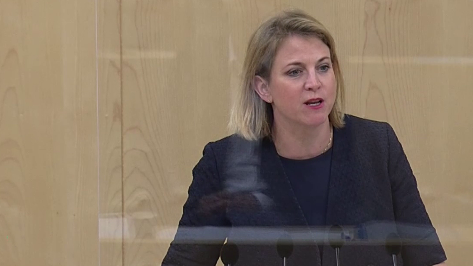 Statement von Beate Meinl-Reisinger