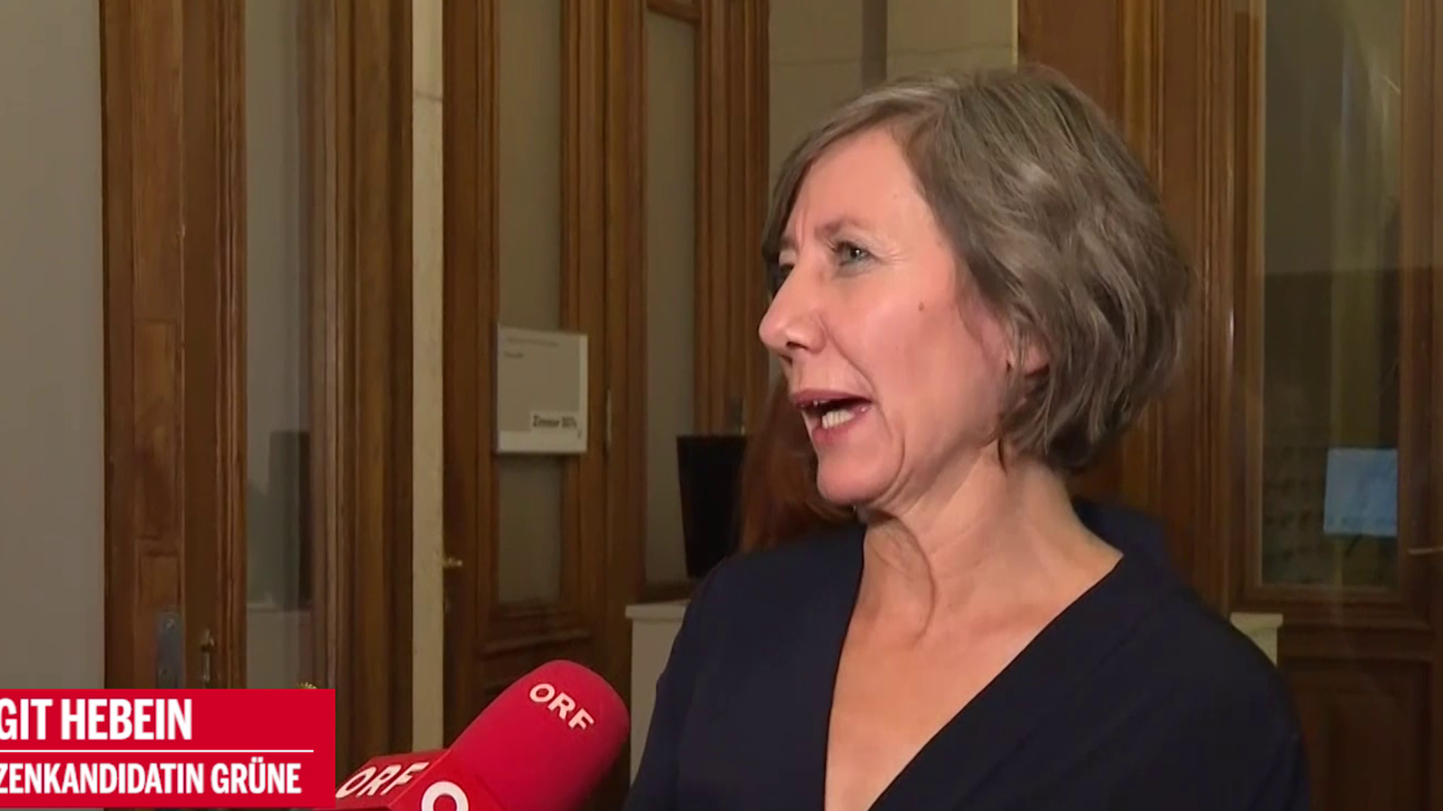 Statement von Birgit Hebein - oe24.at