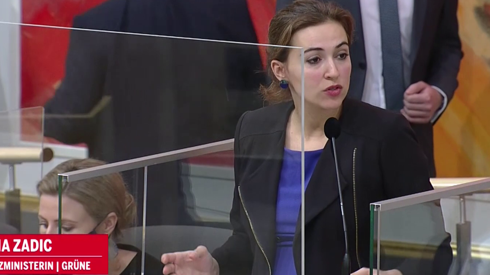 Statement von Alma Zadic - oe24.at