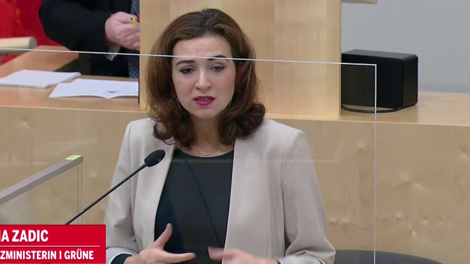 Statement von Alma Zadic - oe24.at