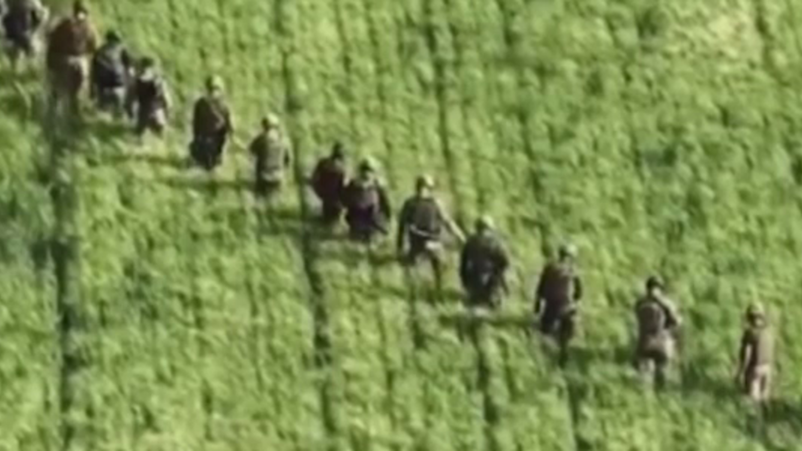 Ukrainische Soldaten entminen Weizenfelder